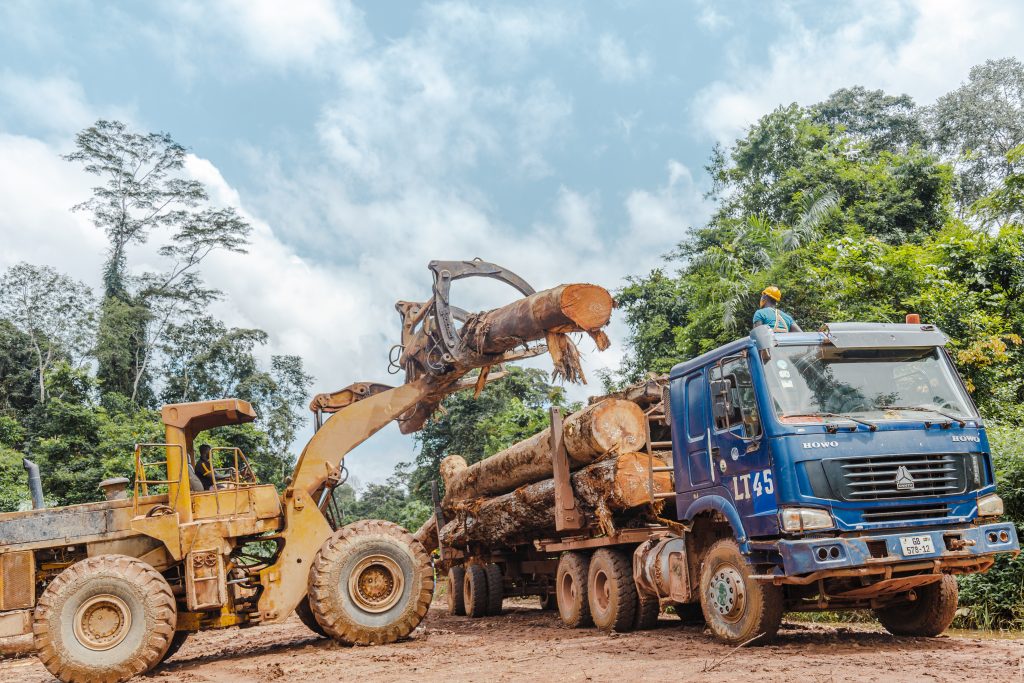 Promoting legal tropical timber trade - moving the focus to protect ...