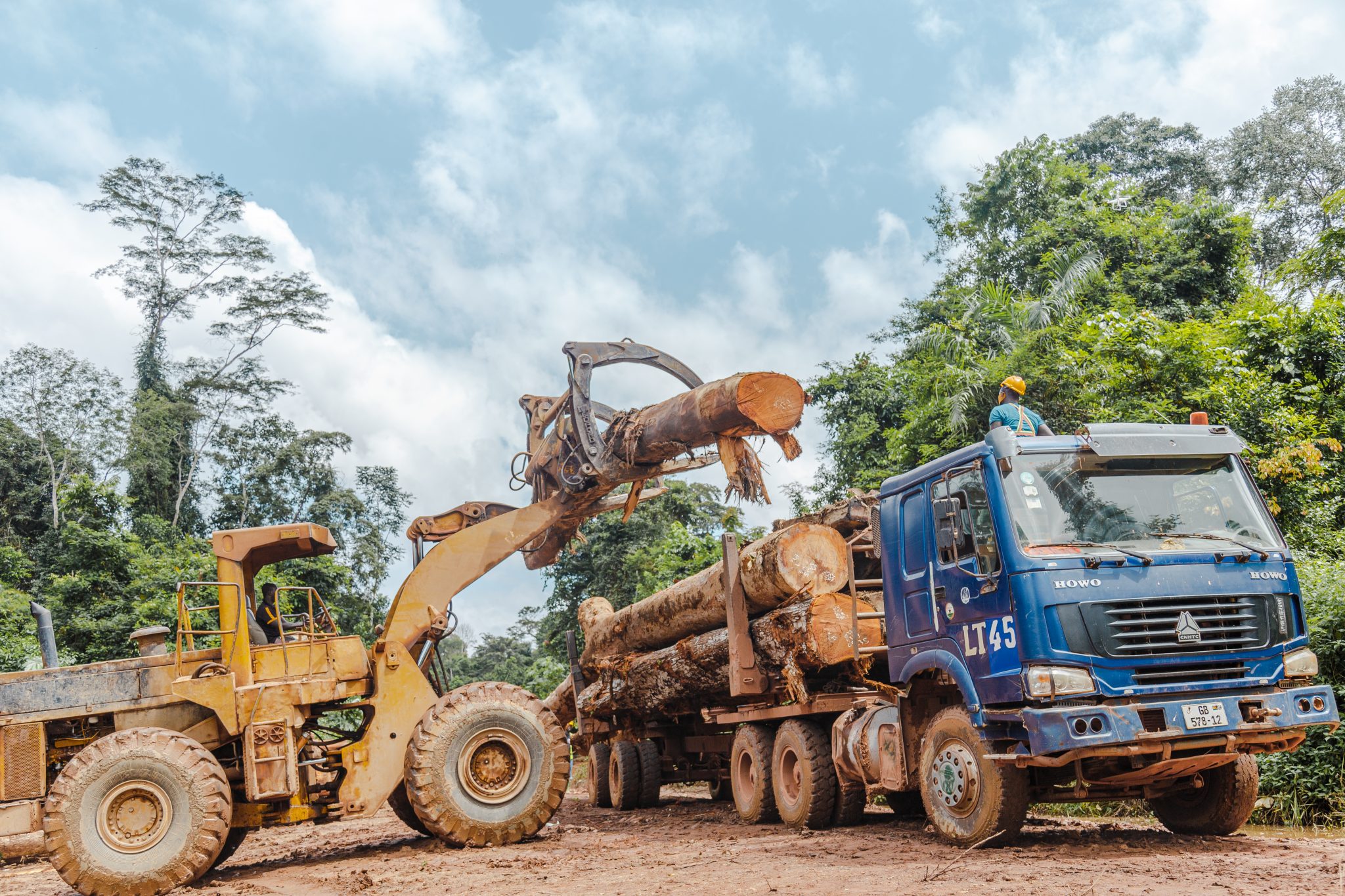 Promoting legal tropical timber trade - moving the focus to protect ...