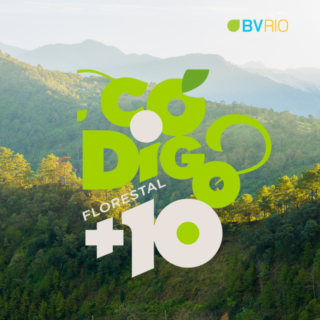 BVRio promotes new solutions for the implementation of the Brazilian ...