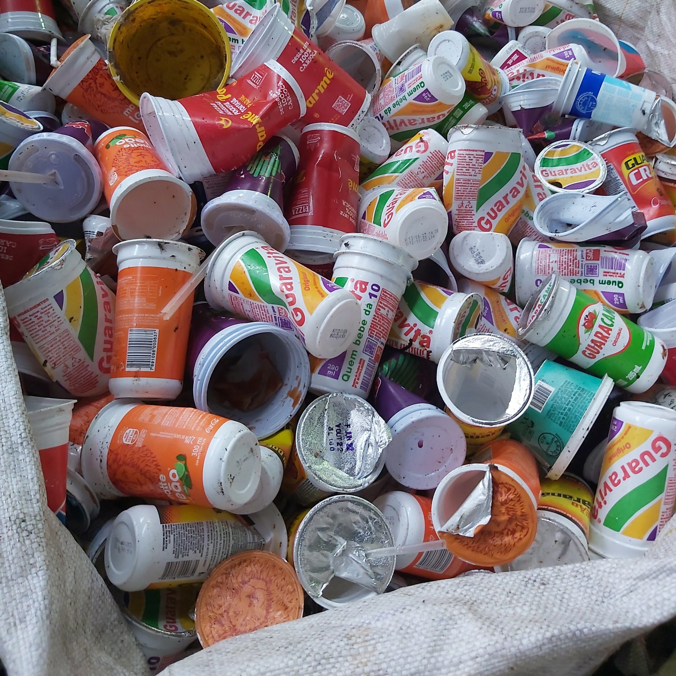 Brazil’s Environment Ministry to enforce solutions for product waste ...