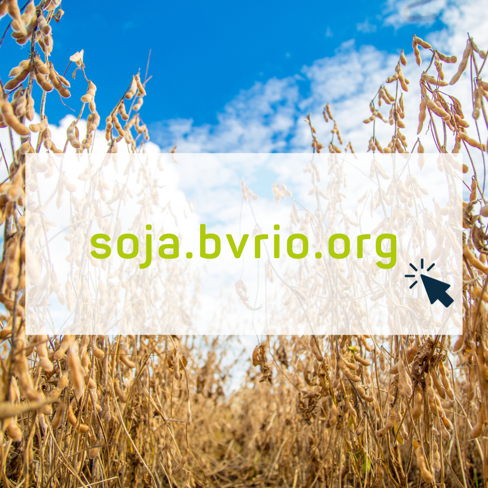 Deforestation risk assessment tool hits 11,000 searches in first three ...