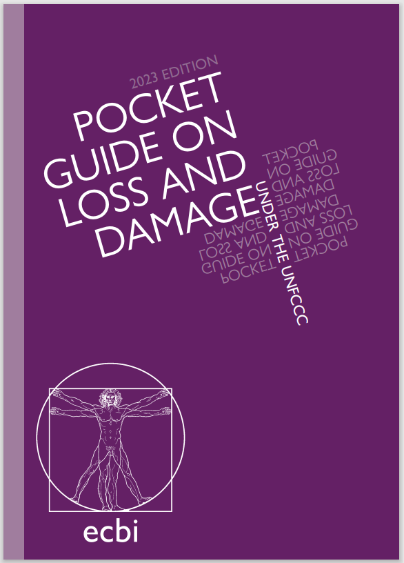 ECBI 2023 Edition of the Pocket Guide on Loss and Damage | BVRIO